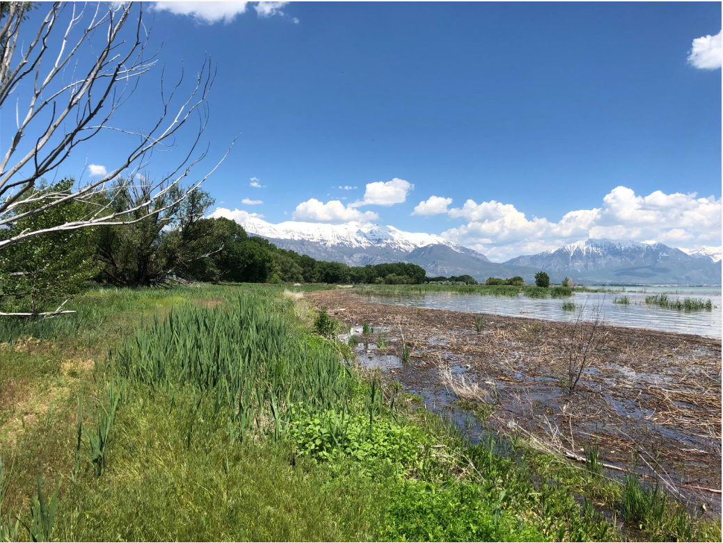 Utah's Watershed Restoration Initiative
